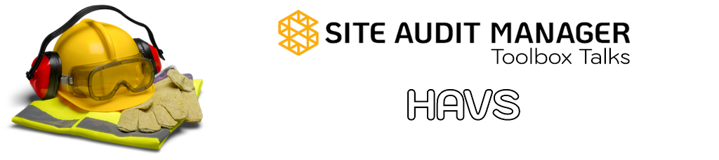 HAVS - Site Audit Manager